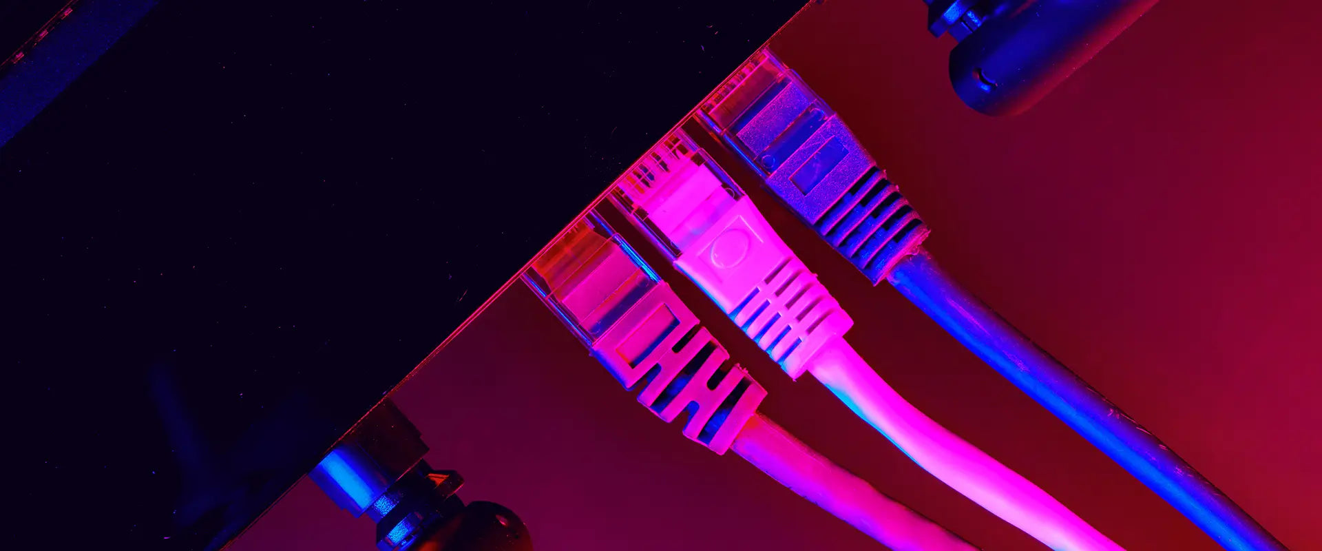 Gaming Routers & PC Networking Gear | Turbo Tortoise Tech