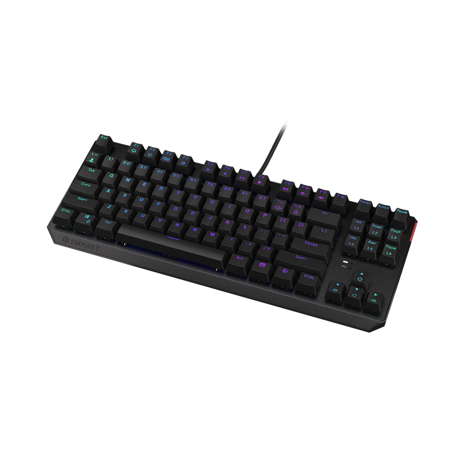 Gaming Keyboards & Mechanical Keyboards | Turbo Tortoise Tech